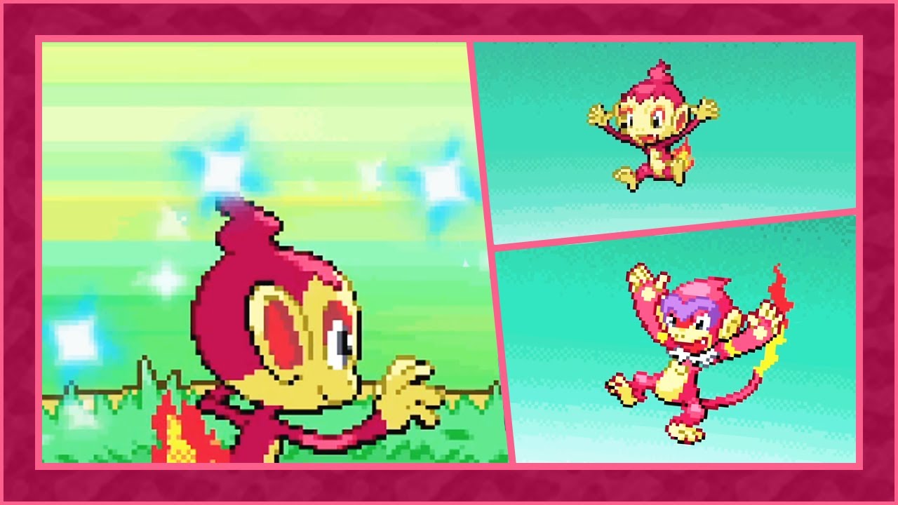 [LIVE] Shiny Chimchar After 4,704 SRs in Platinum!! (DTQ#1) - YouTube