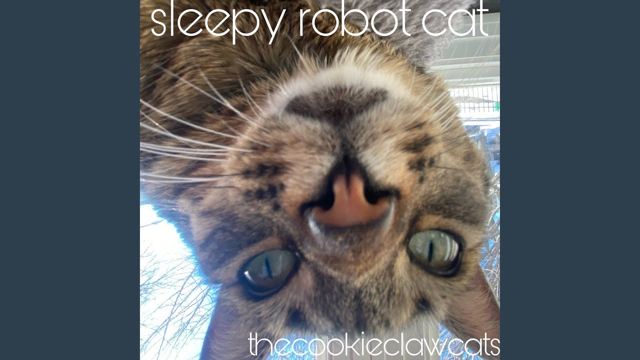 Da Big Mama Cheechle - YouTube