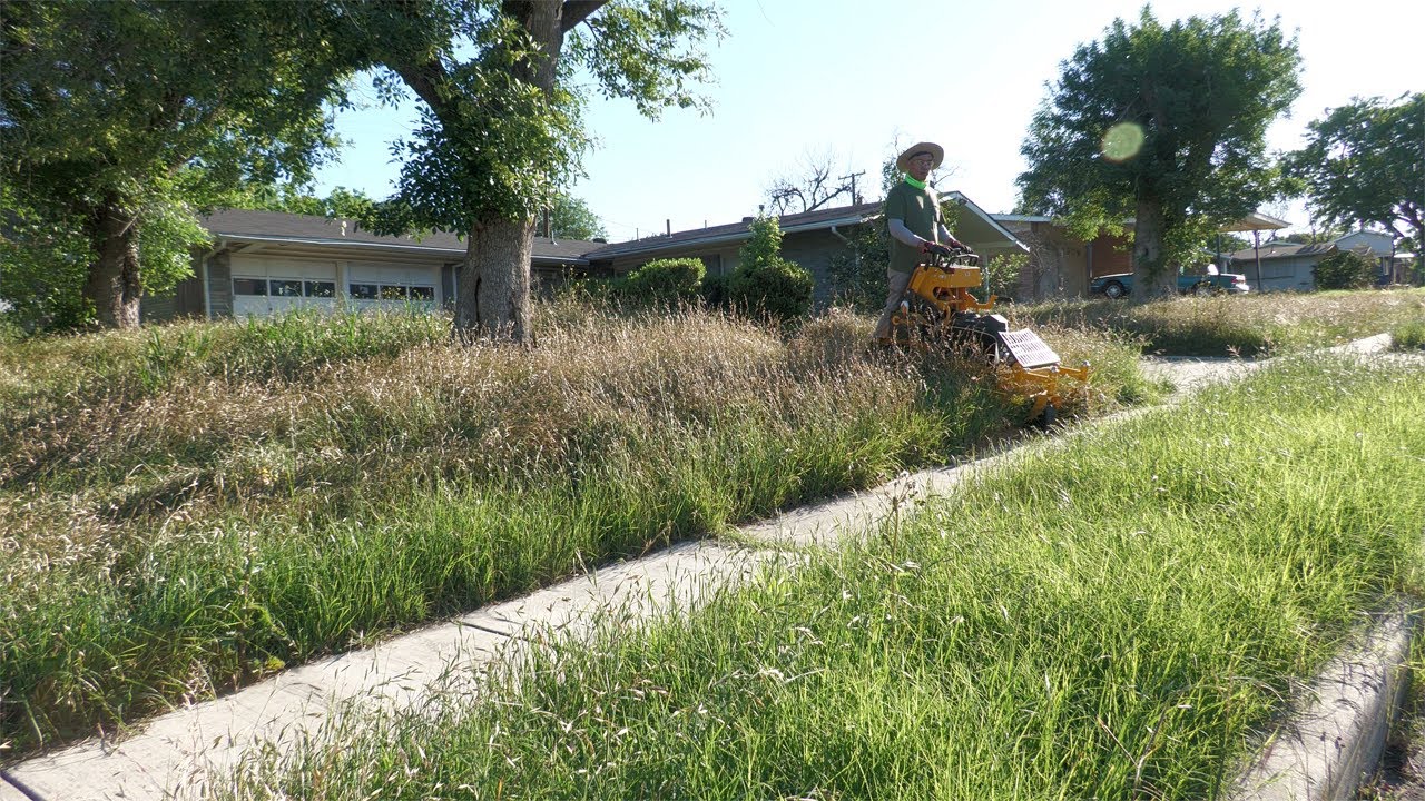 This PROPERTY gets a CITY VIOLATION EVERY YEAR, EVERYONE on the ...