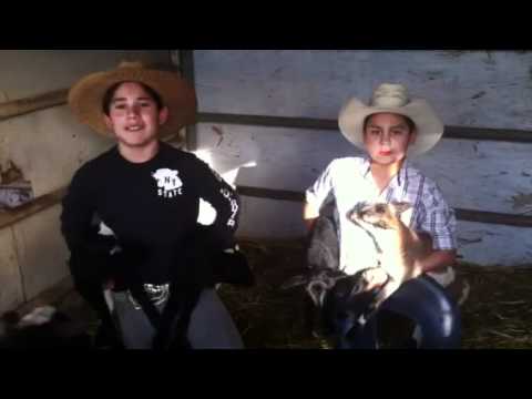 Los Primitos Santoyo - Los Nuevos Miembros - YouTube