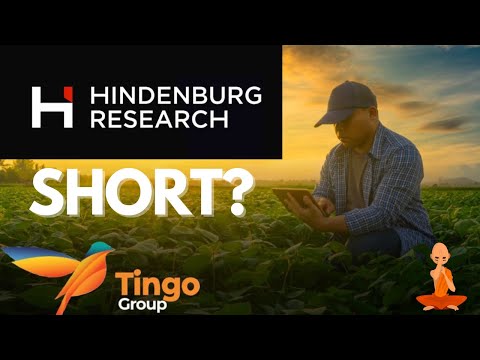 Hindenburg Short Tingo Group | Summary under 6 minutes