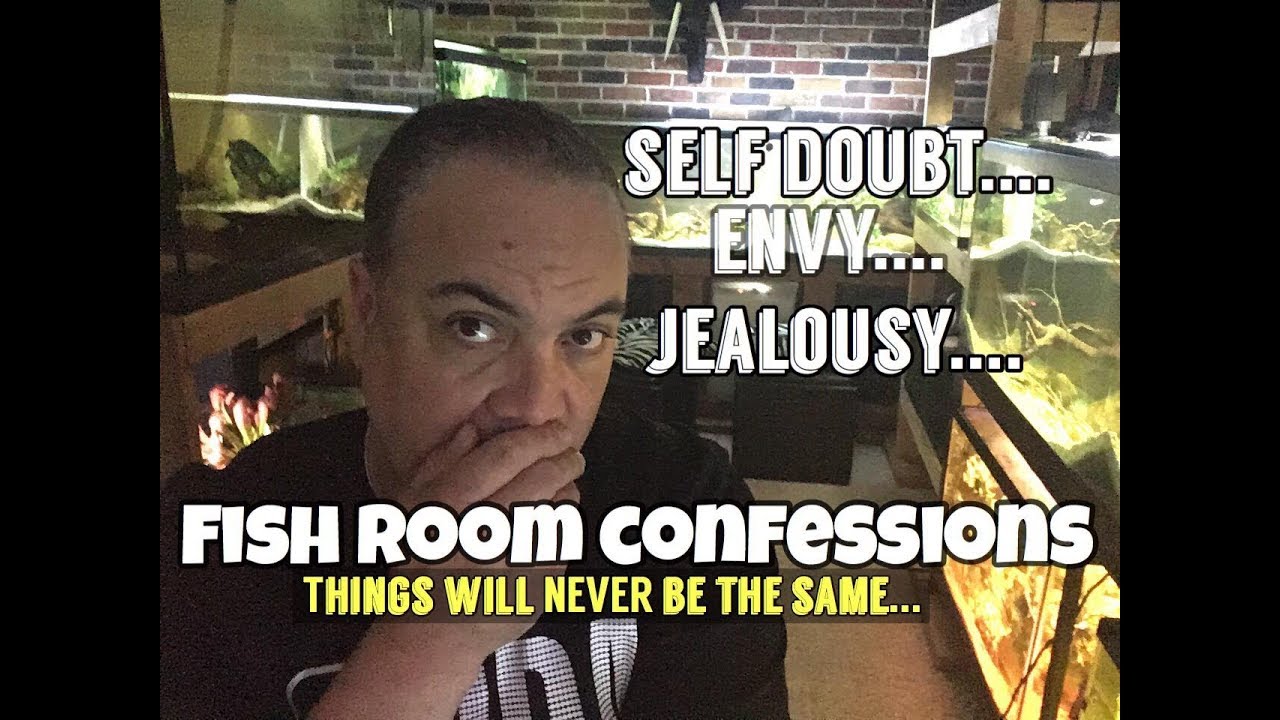 Fish Room Confessions - YouTube