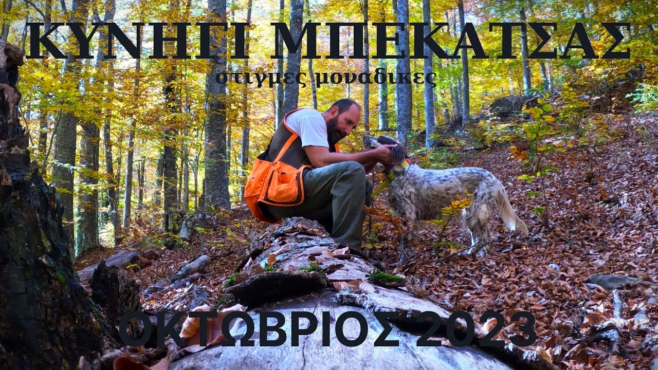 ΚΥΝΗΓΙ ΜΠΕΚΑΤΣΑΣ στιγμές μοναδικές ΟΚΤ. 23-WOODCOCK HUNTING-CACCIA alla ...