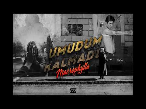 Macrophylla - Umudum Kalmadı (Prod. Tolga Eren)