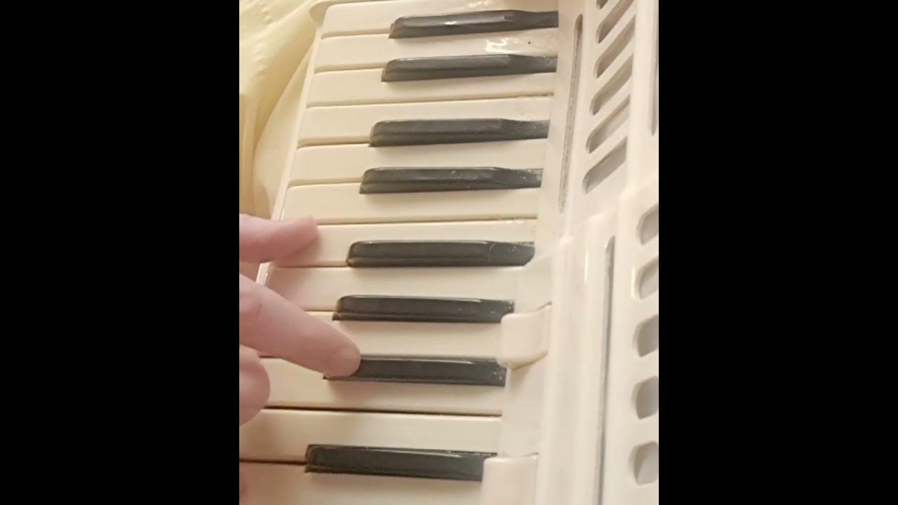 "На Тебе Сошелся Клином Белый Свет" аккордеон кавер - YouTube