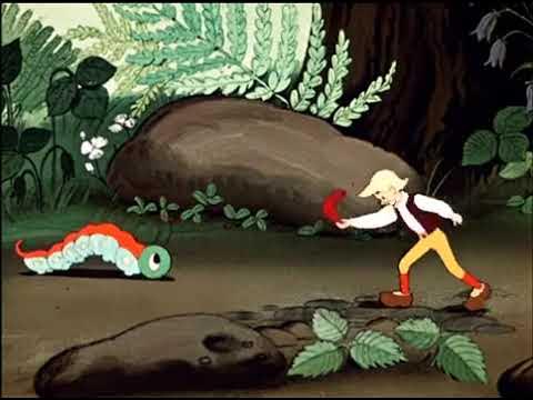 Заколдованный мальчик (1955) Мультфильм Владимира Полковникова - YouTube