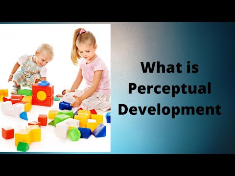 What Is Perception In Child Development