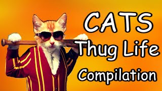 Thug Life Cat Meme