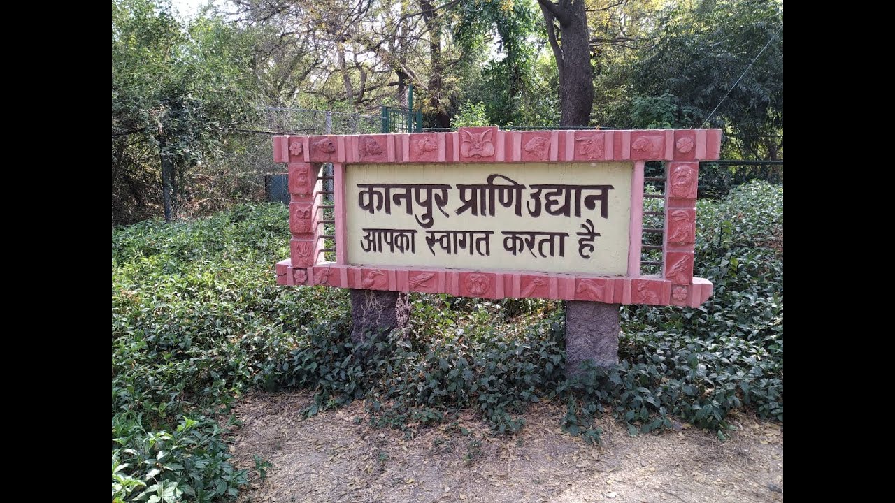 Kanpur zoo!! north indian biggest zoo!! ALLEN FOREST!! - YouTube