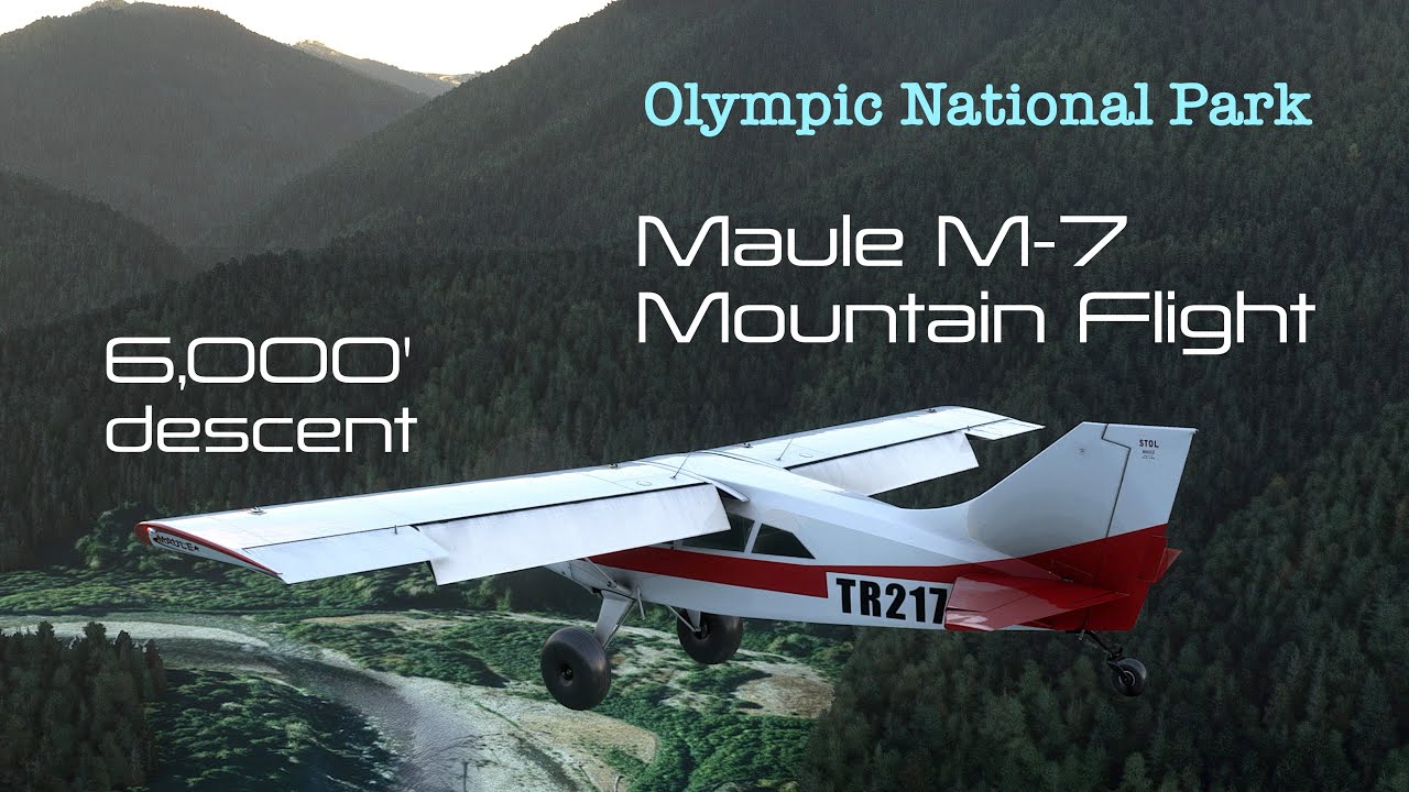Spectacular Maule M7 6,000' Descent Landing into Olympic National Park ...