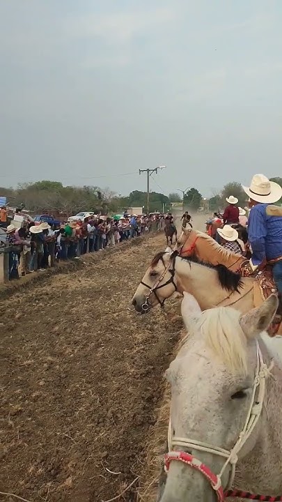 Así las carreras de caballos 🐎👉💯 - YouTube