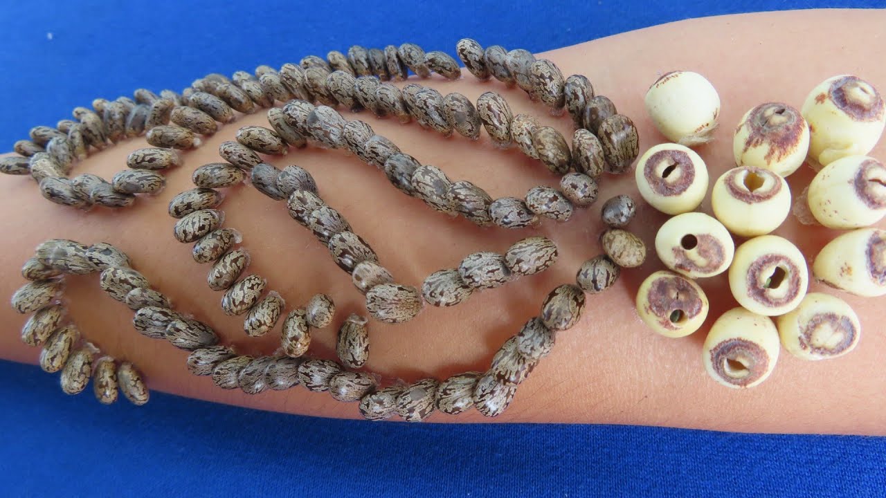 Wow! Amazing removing big ticks style from arm human | Designed from ...