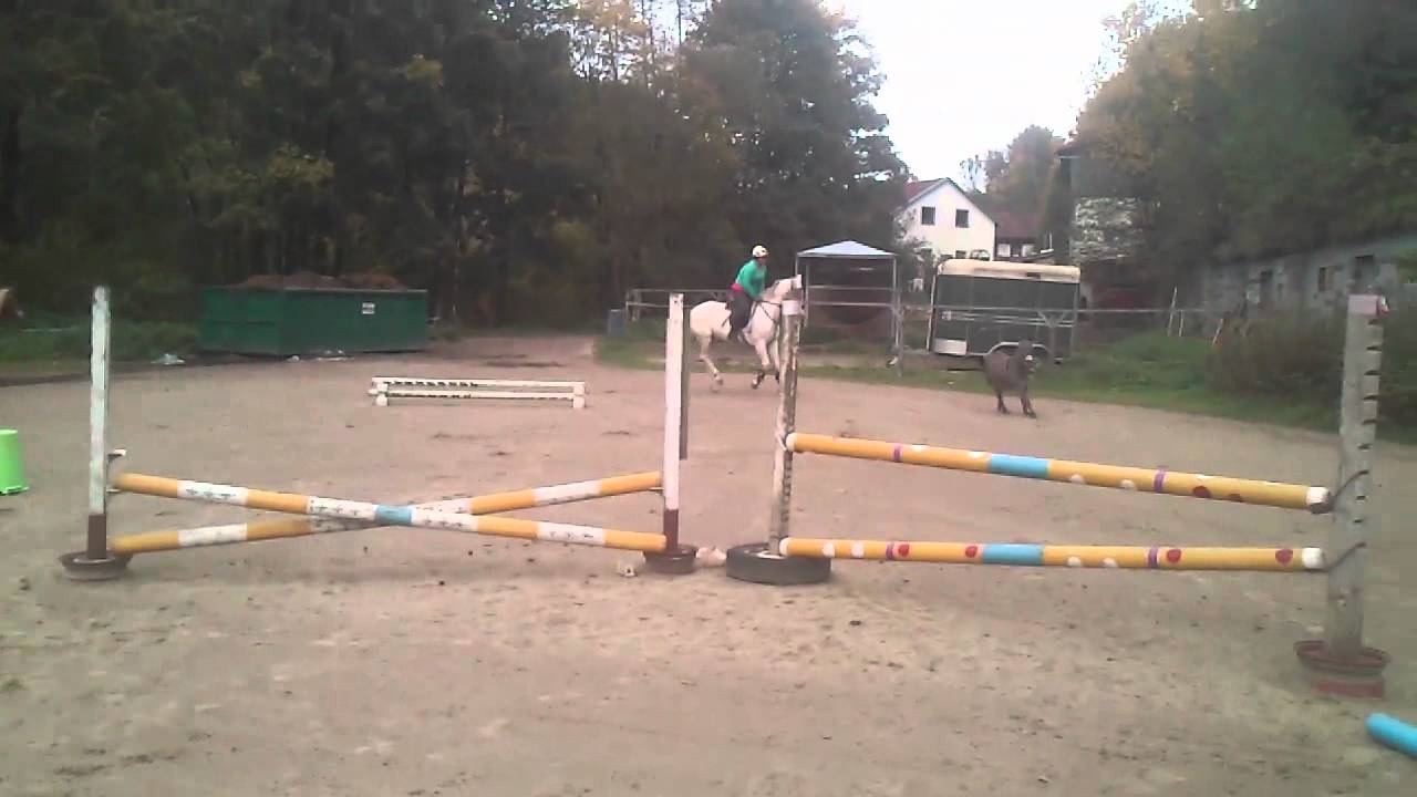 Turbo Esel Willy. / Turbo Donkey Willy - YouTube