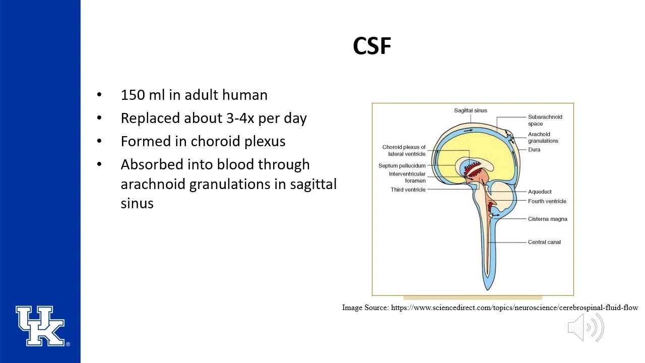 Neuroanesthesia Keyword Review ITE - (Dr. Poore) - YouTube