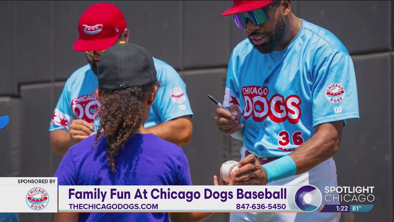 Family Fun At Chicago Dogs Baseball - YouTube