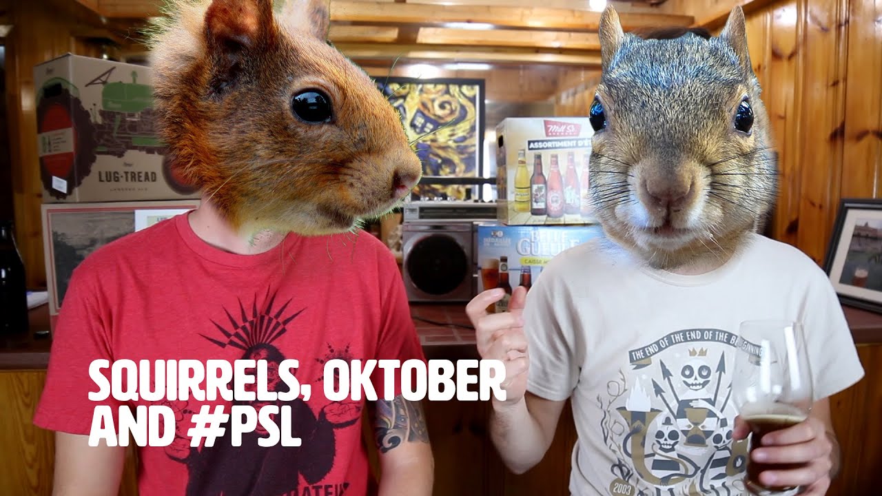 SQUIRREL BEER, OKTOBER DEBAUCHERY AND BASIC BRO BEER | H&B Beer Talk ...