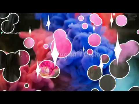 BALAM PICHKARI JO TUNE MUJHE MAARI💖💞💞WHATSAPP STATUS
