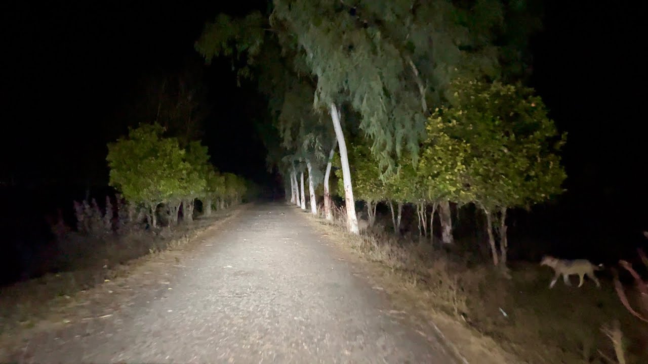 Extremely Scary Road to travel at night - YouTube