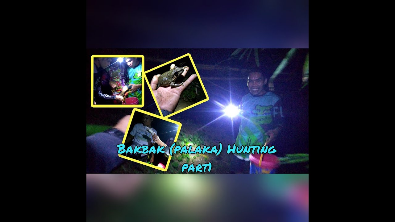 BAKBAK (palaka) HUNTING part1 - YouTube