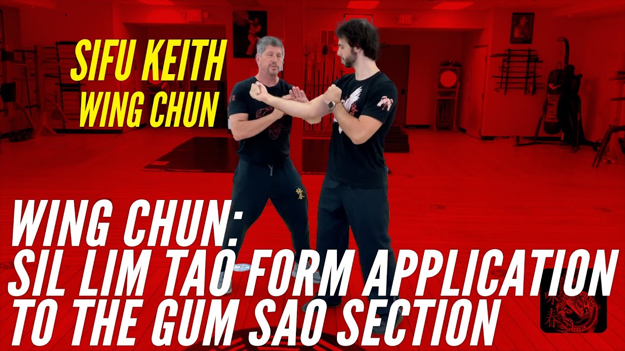 Wing Chun: Sil Lim Tao Form Application to the Gum Sao Section - YouTube