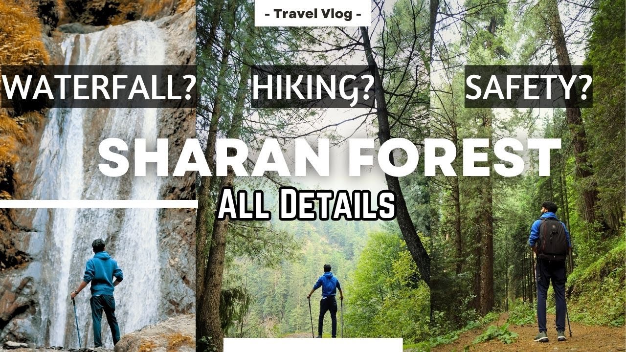 A Complete Guide to Sharan Forest | All Details for Best Camping ...