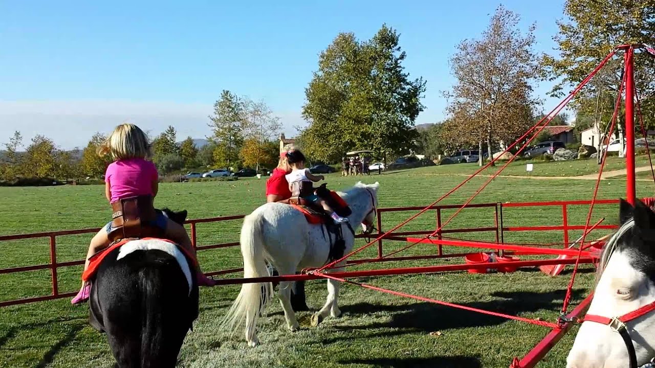 1st Pony ride! - YouTube