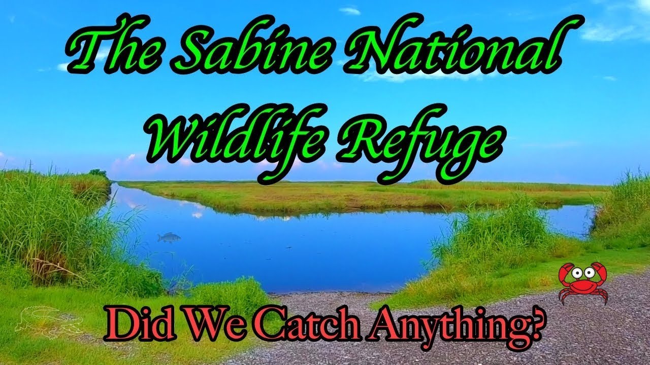 THE SABINE NATIONAL WILDLIFE REFUGE | DID WE CATCH ANYTHING? - YouTube