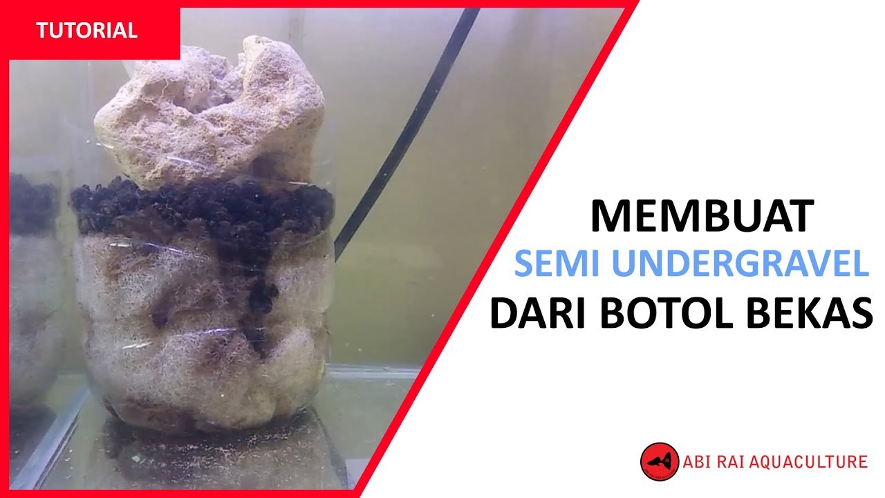 CARA MEMBUAT FILTER AKUARIUM DARI BOTOL BEKAS - YouTube
