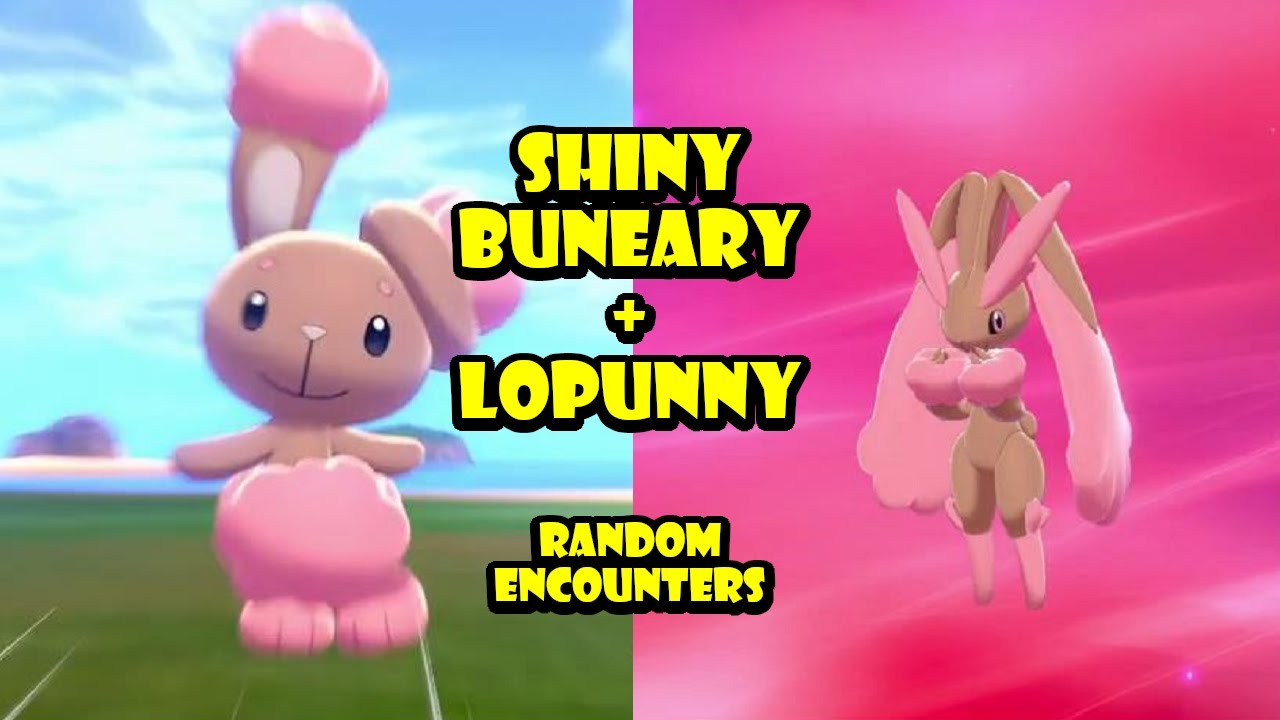 Buneary And Lopunny