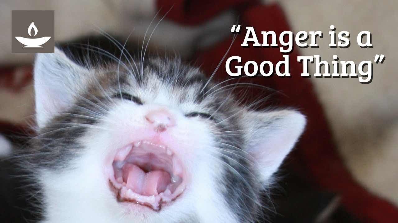 Many of us were taught that anger’s bad - but appropriate anger can be ...