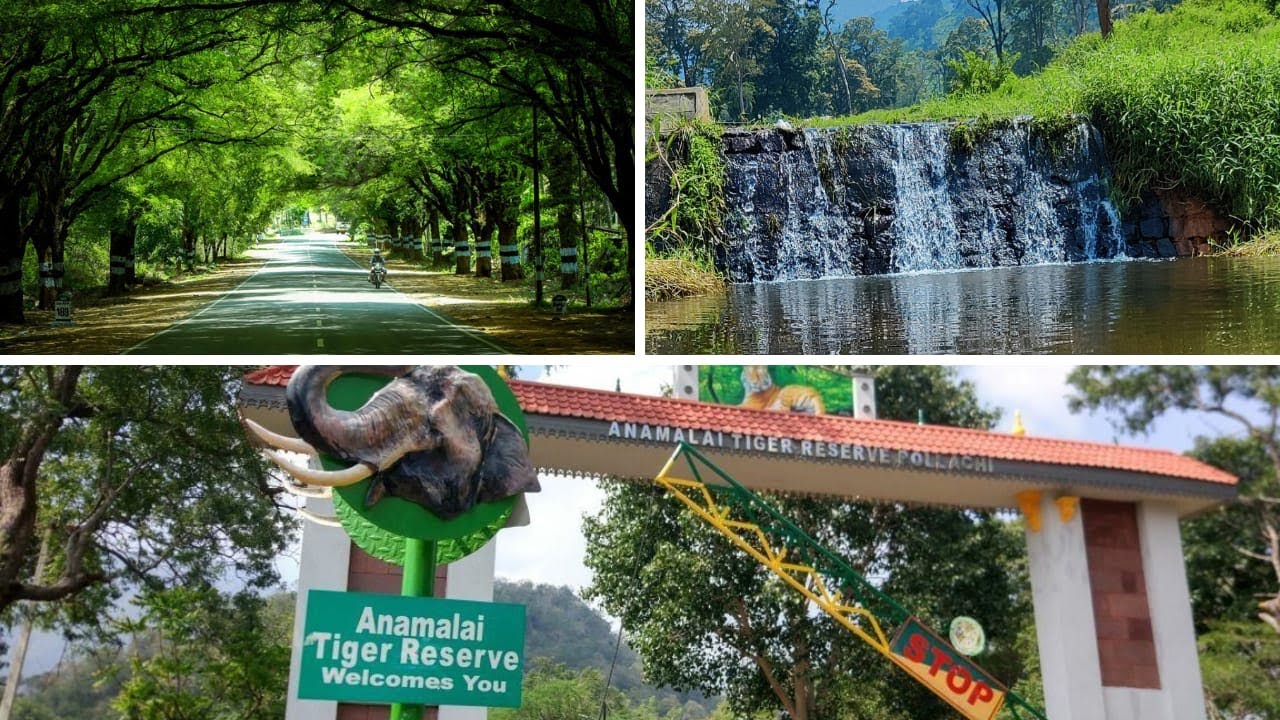 Topslip Anamalai Tiger Reserve/Jungle Safari/Kumki Kaleem, Chinna ...
