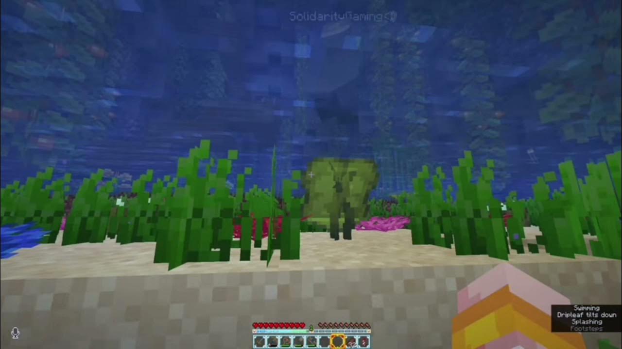 The flower husbands went on a date in empires smp (cute moments) - YouTube