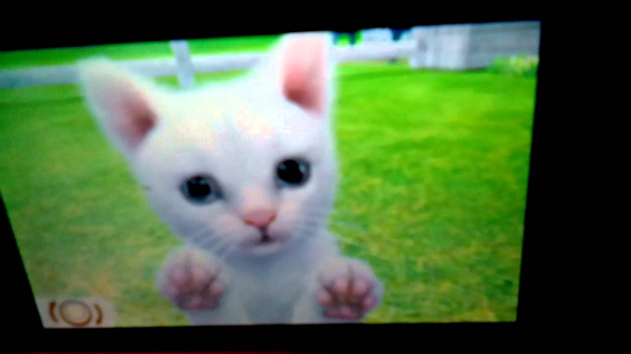 Nintendogs + Cats First Video - YouTube