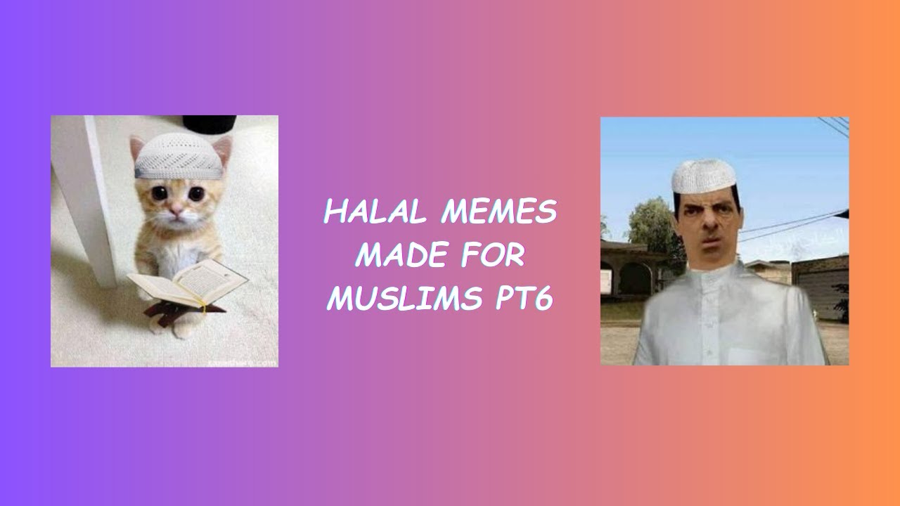 Halal memes that made me go 🤣 - YouTube