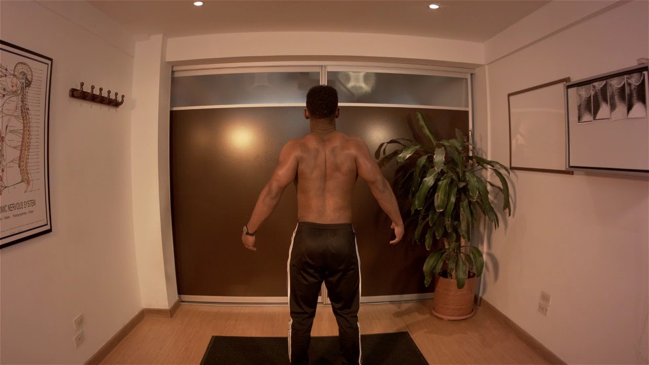 Ejercicio 6 - Elevación y retracción de la Escápula - YouTube