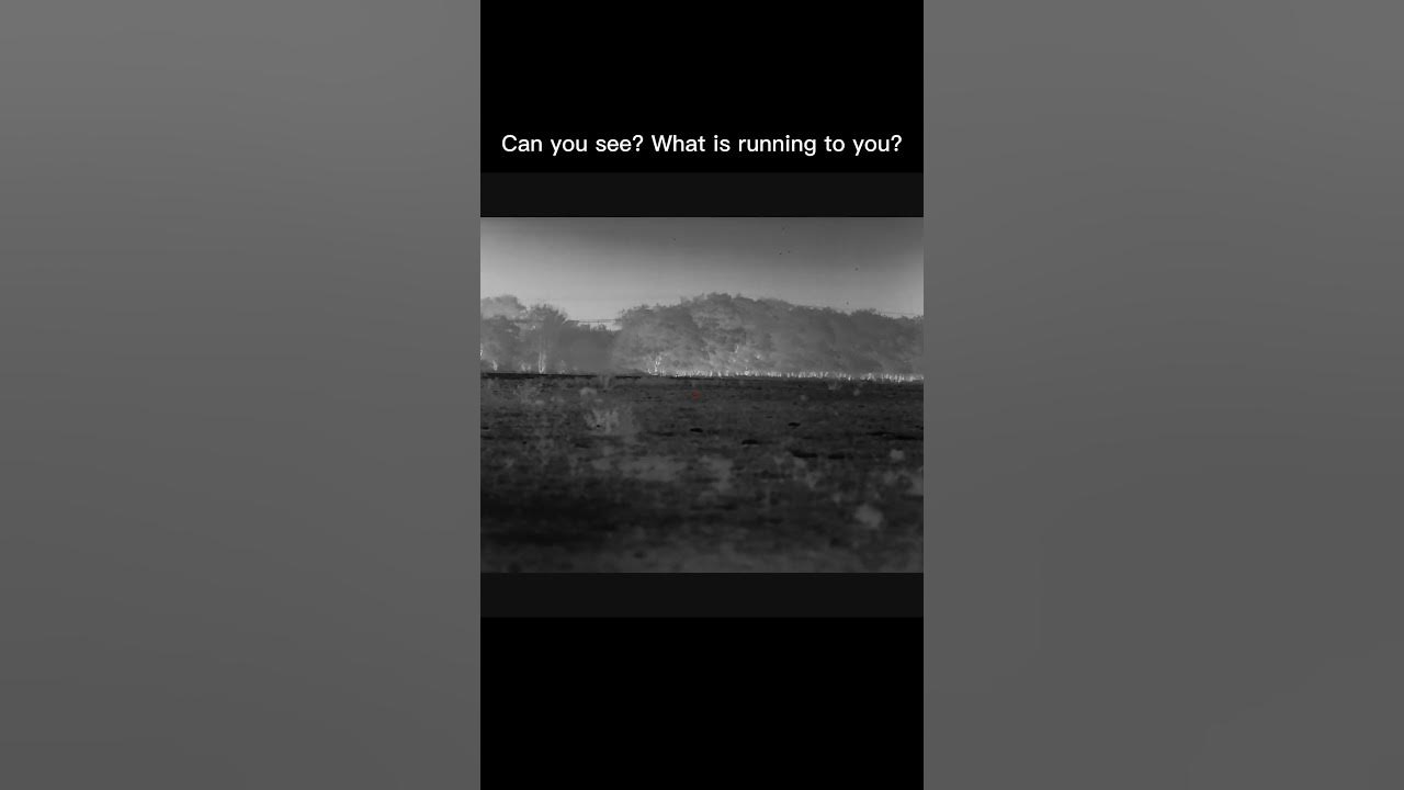 Can You See What Is Running To You YouTube can-you-see-what-is-running-to-you-youtube