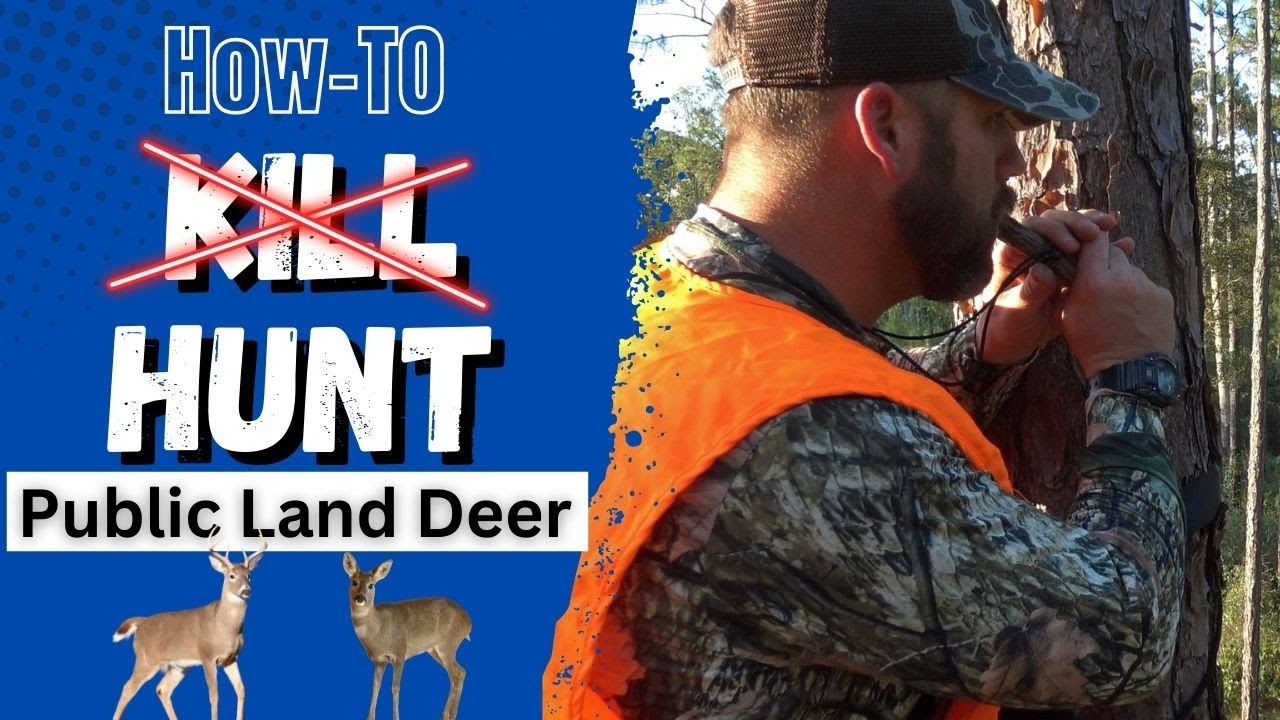 The Untold Truth: What Hunting TV Shows Won't Show You About Public ...