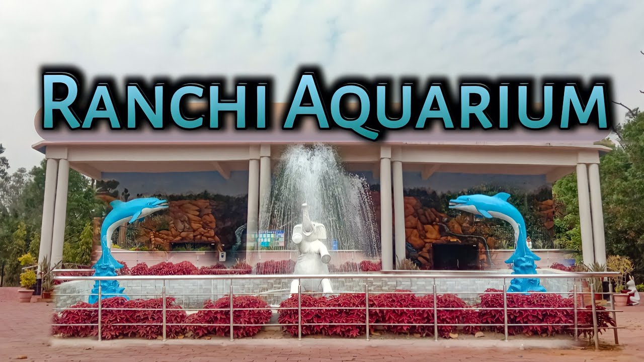 Ranchi Aquarium | Ormanjhi Aquarium Ranchi Jharkhand | Ormanjhi ...