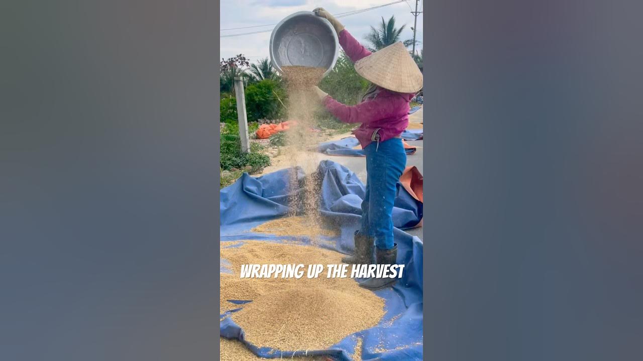 The tractors are rumbling, fields are burning and the farmers have wrapped up the years first ...