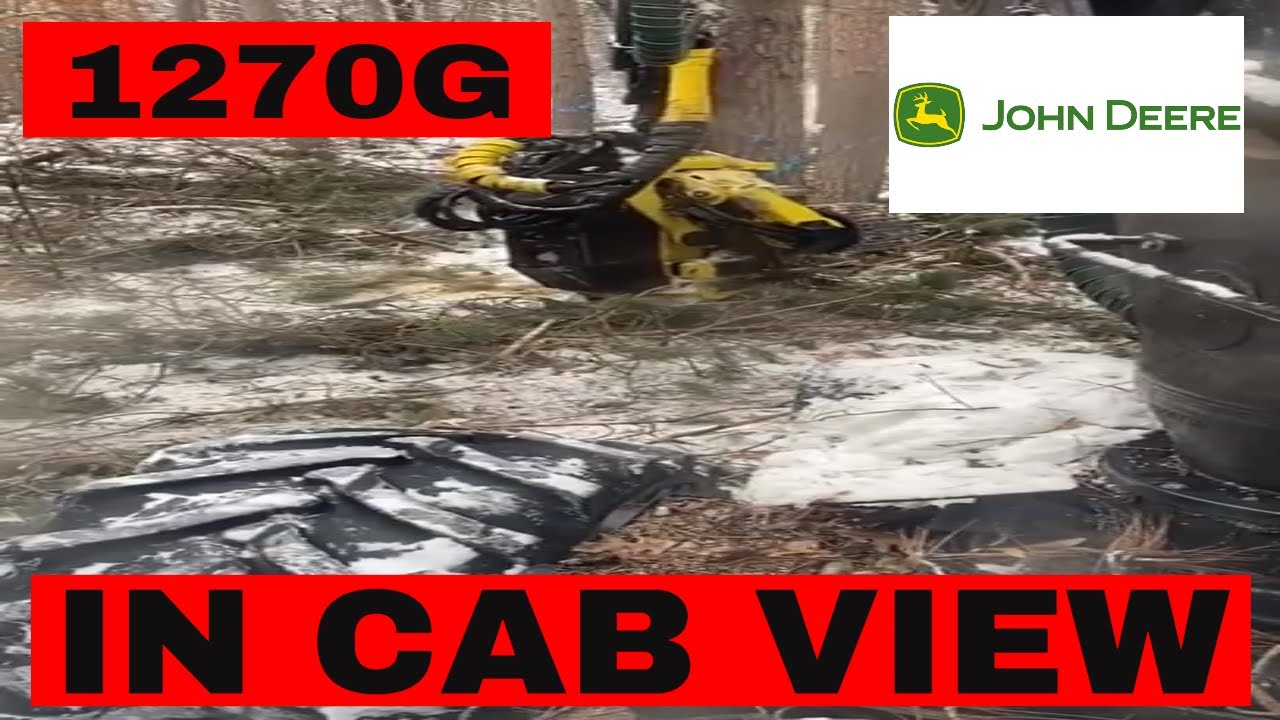 Extreme Biggest Tree Cutting Down Machines - YouTube