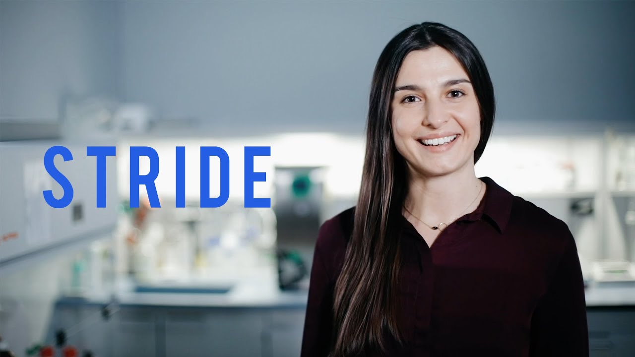 intoDNA - meet STRIDE - YouTube