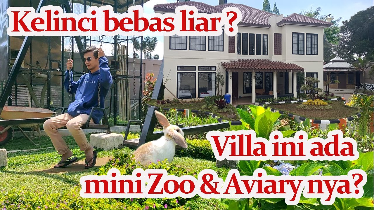 villa di puncak dengan mini zoo dan mini aviary - YouTube