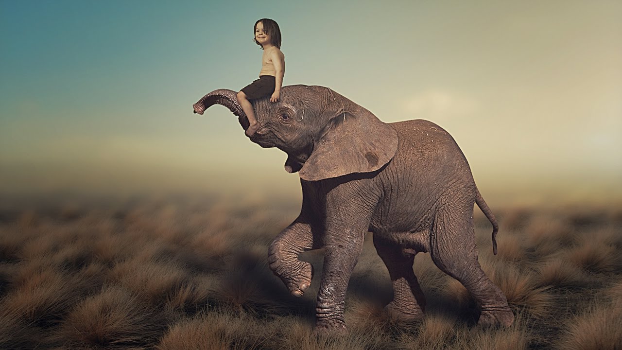 Big Elephant - Surreal Photoshop manipulation Tutorial - YouTube
