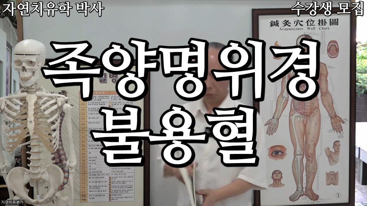 족양명위경 불용혈은 위에 통증이 있을 때 구토 체내의 수분의 대사가 원할하지 못하여 붓는 증상 음식을 먹고자 하는 욕구가