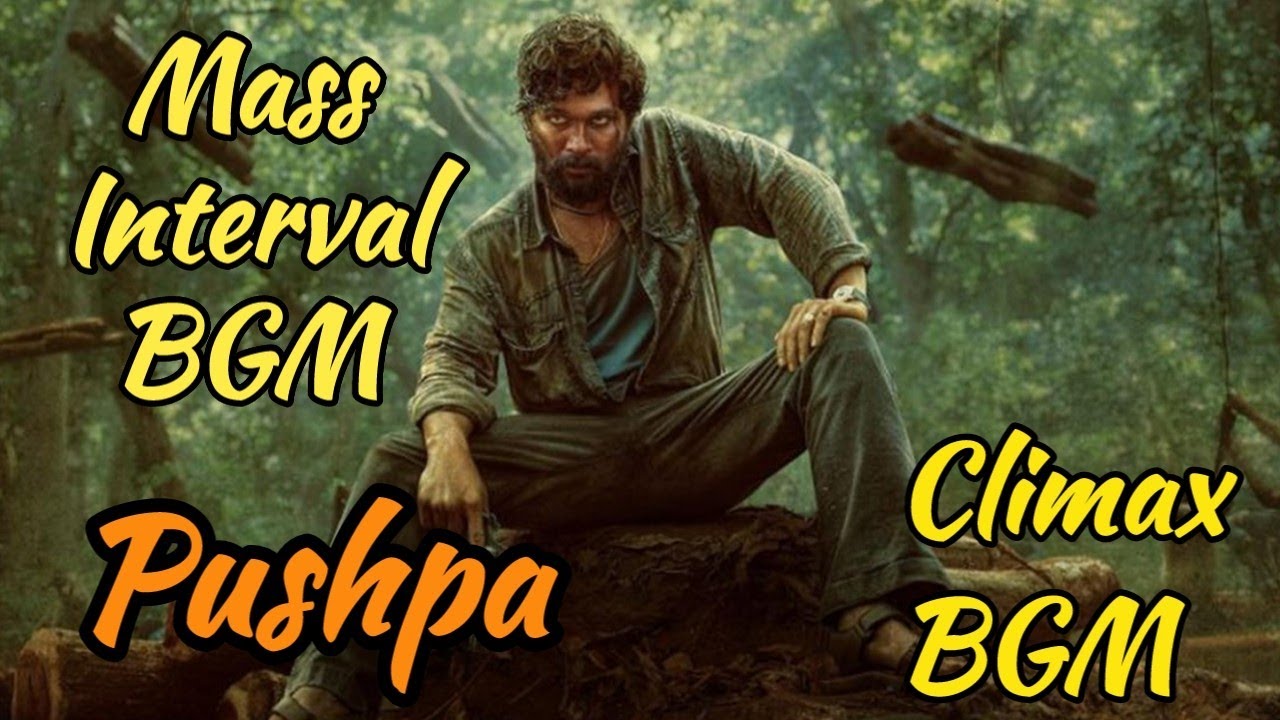 Pushpa Mass Interval BGM|Pushpa Theme Music| Pushpa Mass BGM| Allu ...