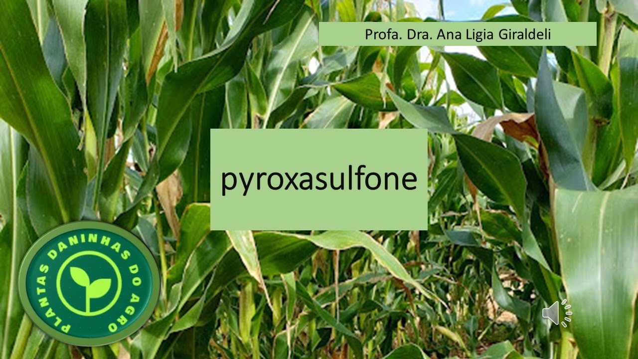 HERBICIDA PYROXASULFONE - YouTube