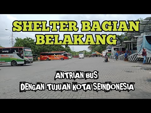 KEREN ❗BUKAN MAIN || BUS ANTRI MASUK SHELTER BELAKANG ❗Terminal BUNGURASIH