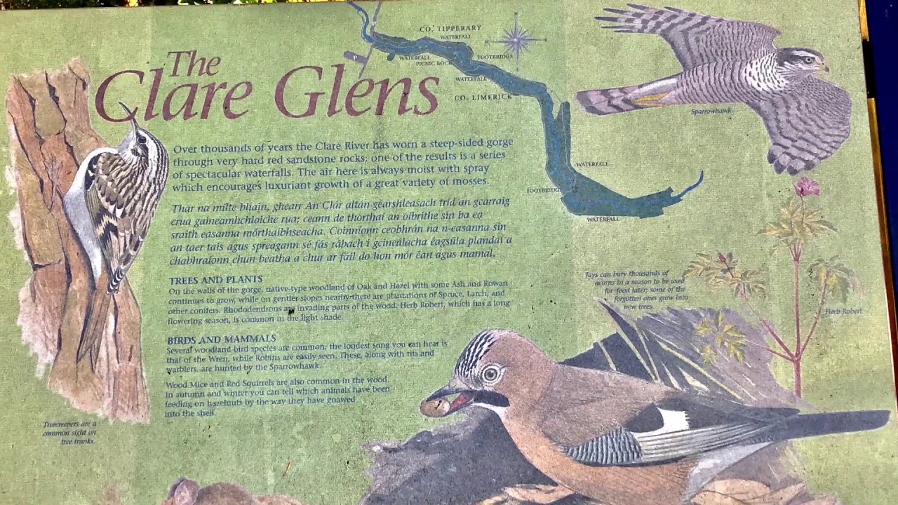 Clare Glens ,Looped Walk and Woodland Trails - YouTube