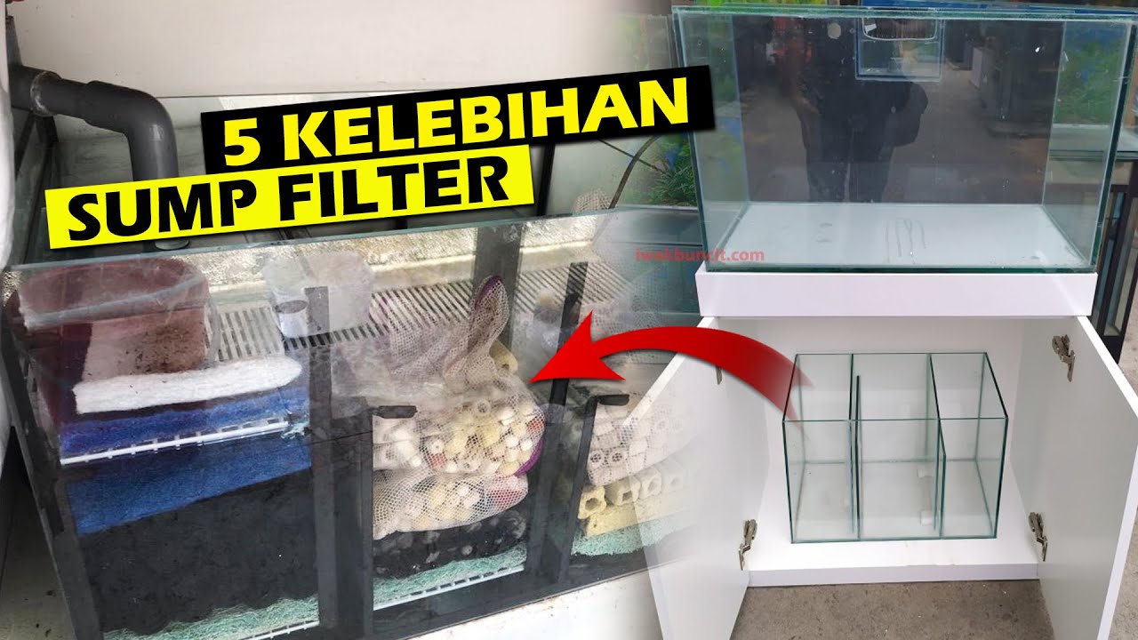 5 Kelebihan Filter Aquarium SUMP Bawah yang Tidak Dimiliki Filter ...
