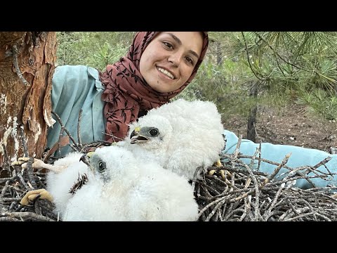 ORMANDA ATMACALAR İLE 🦅‼️